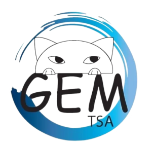 GEM TSA 63